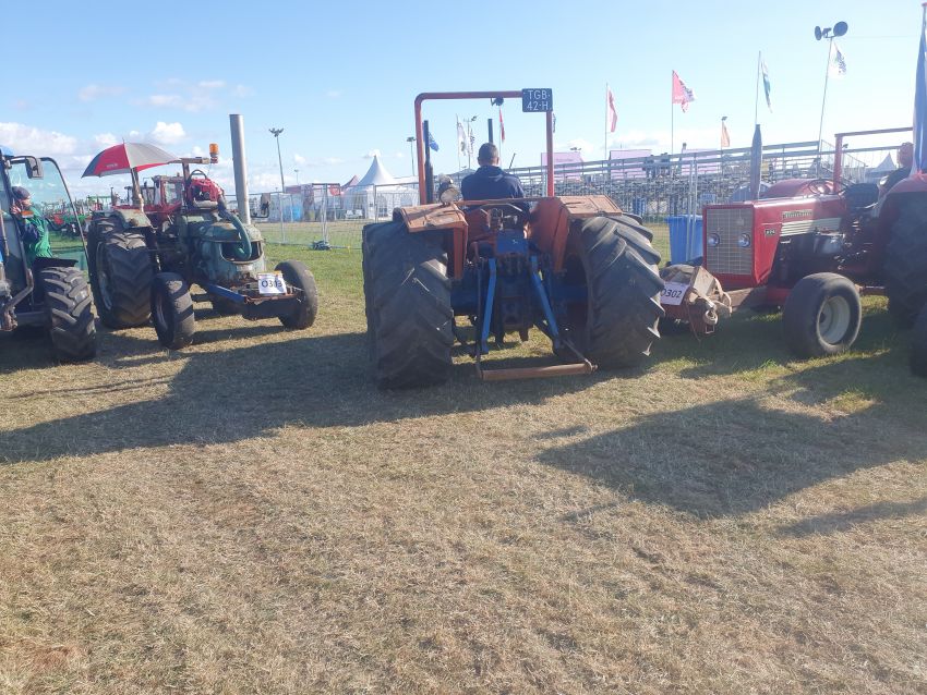 Foto Same Tiger 100 #1484707