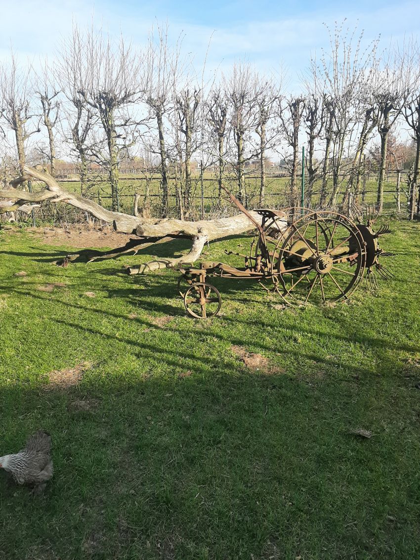 Foto oude doos paard en wagen #1460608