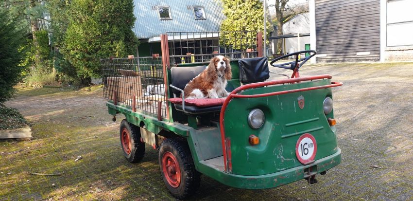 Te koop: Linde Güldner Hydrocar T30 te koop