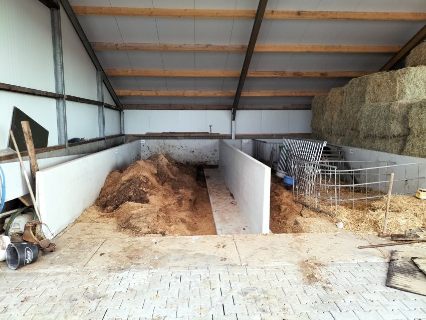 Potstal droge koeien