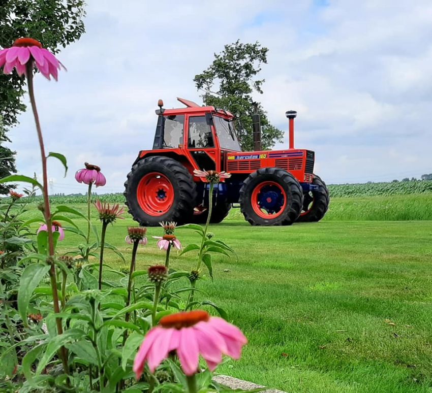 Foto Same Tiger 100 #1368366