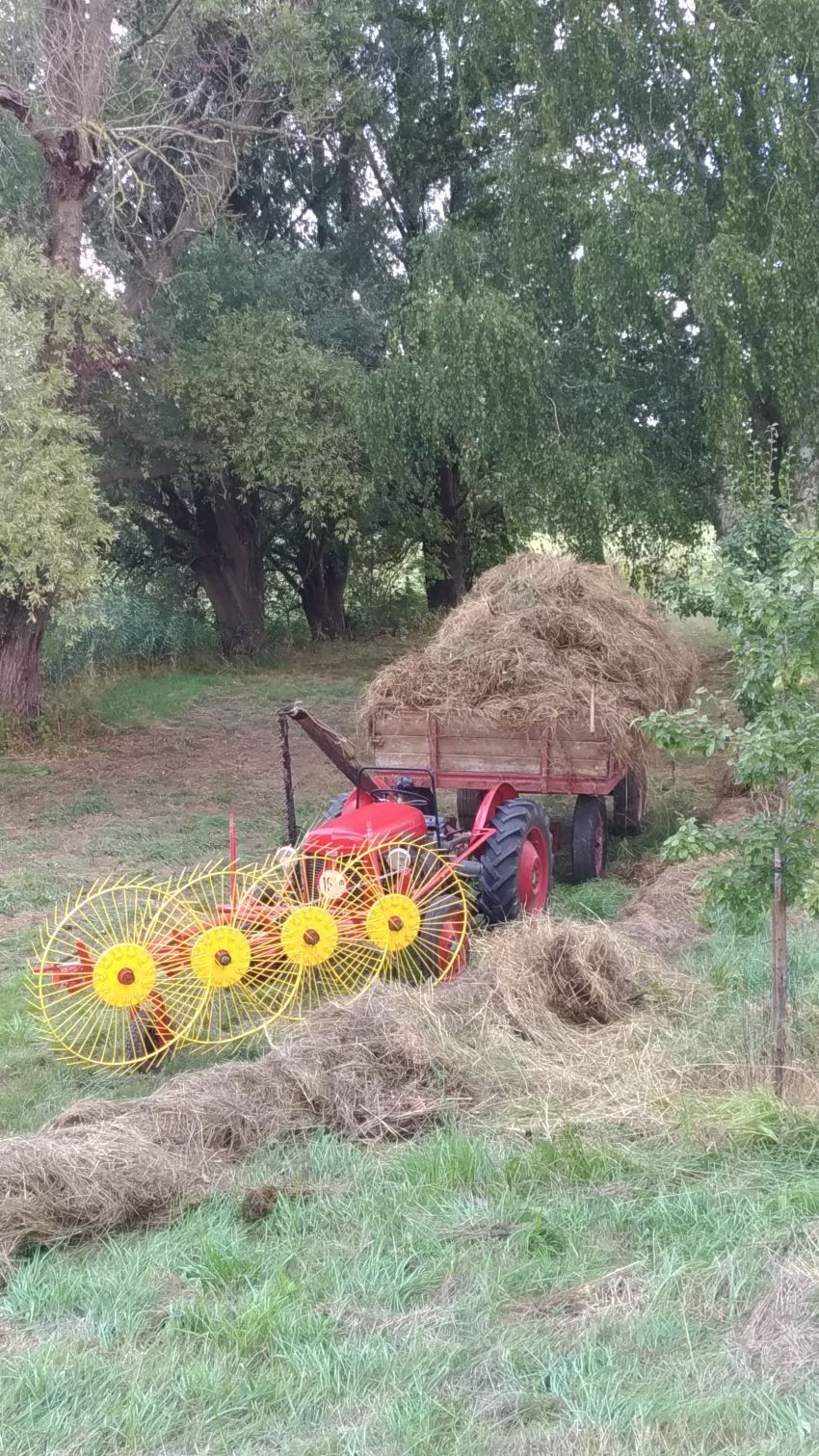 Foto Vicon Acrobaat #1463678