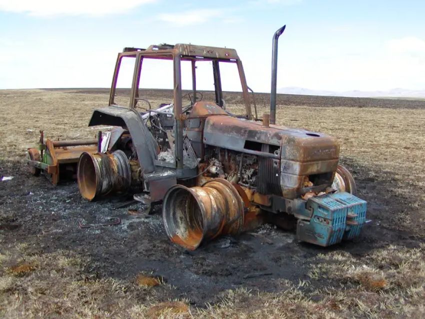 Foto County 1184-40 #1494535