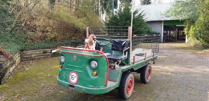 Te koop: Linde Güldner Hydrocar T30 te koop