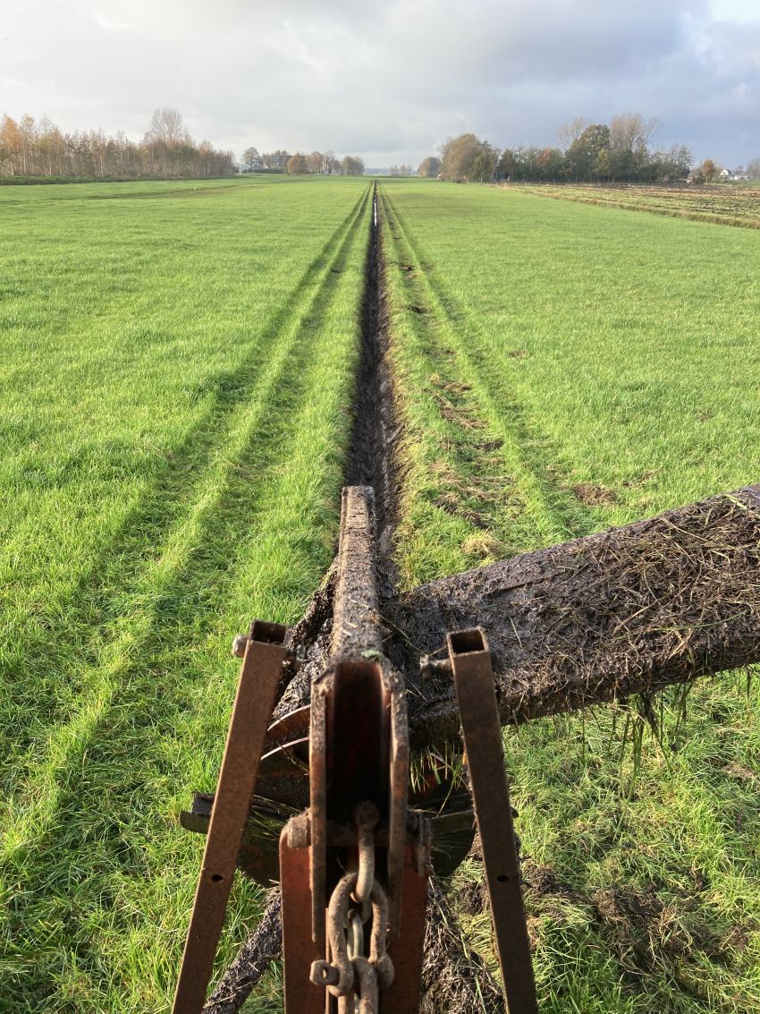 Foto ceres greppelfrees #1445489