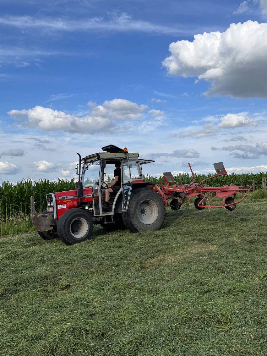 Gezocht: Setje landbouwwielen Massey Ferguson 352