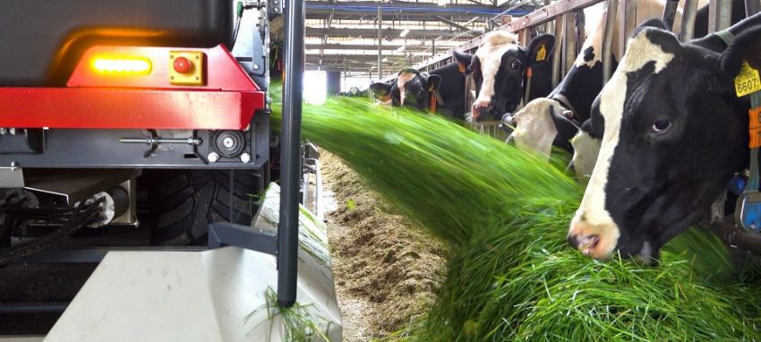 Melkveehouder Klaas Visscher overweegt aanschaf Lely Exos