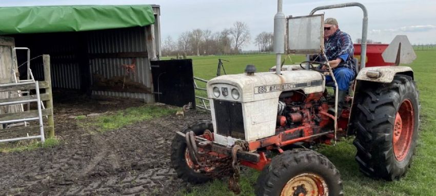 POAH! David Brown 885