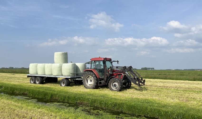 Case IH CX 80 Technische Daten - Deutschland