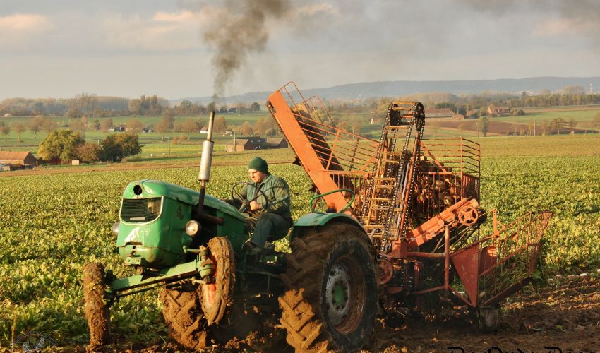 Deutz D40 Technische Daten - Deutschland