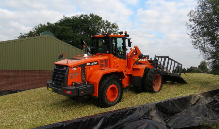 Doosan DL 250 Technische Daten - Deutschland