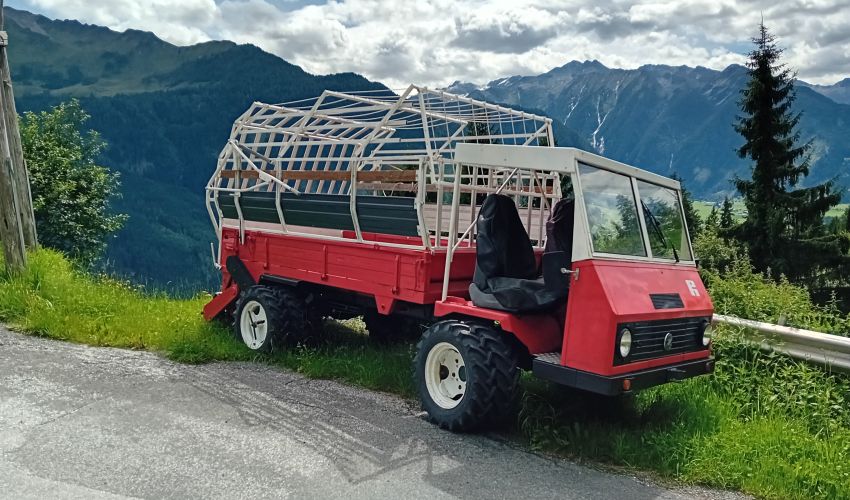 Reform Muli Technische Daten - Deutschland