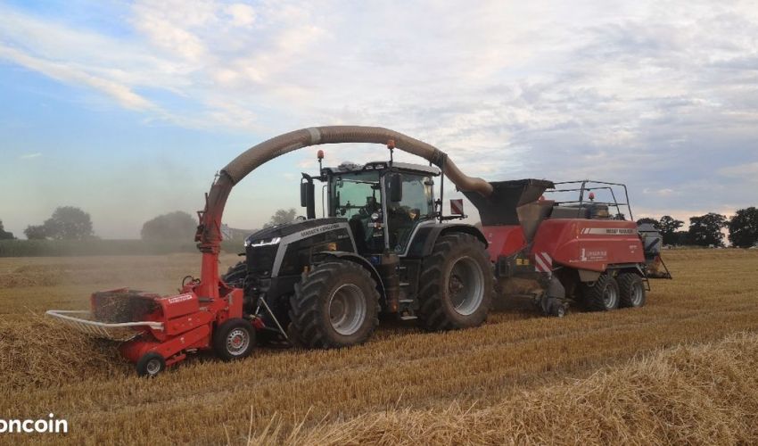 Massey Ferguson 8S.305 Technische Daten - Deutschland