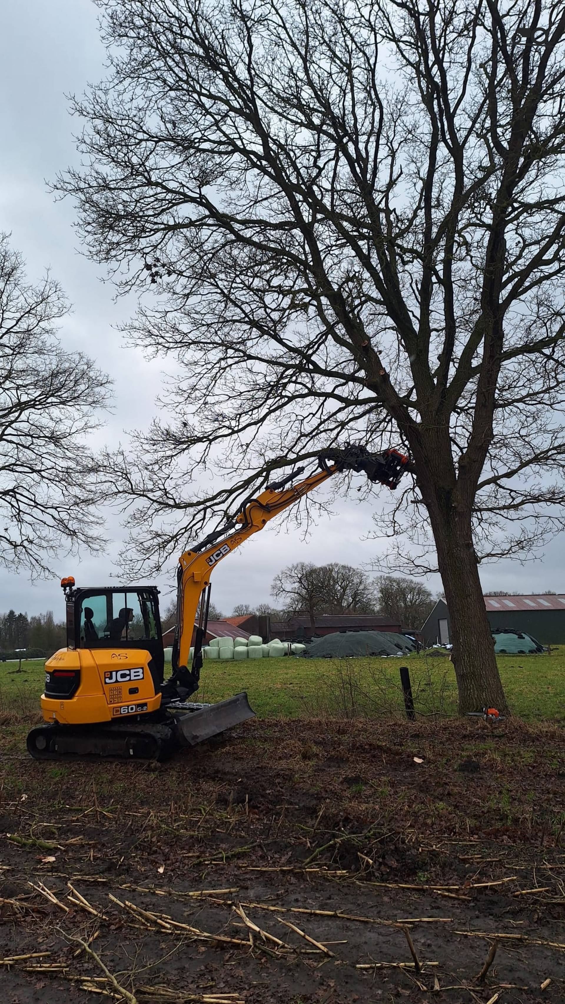 JCB 60 C2 midi graafmachine met snoei schaar