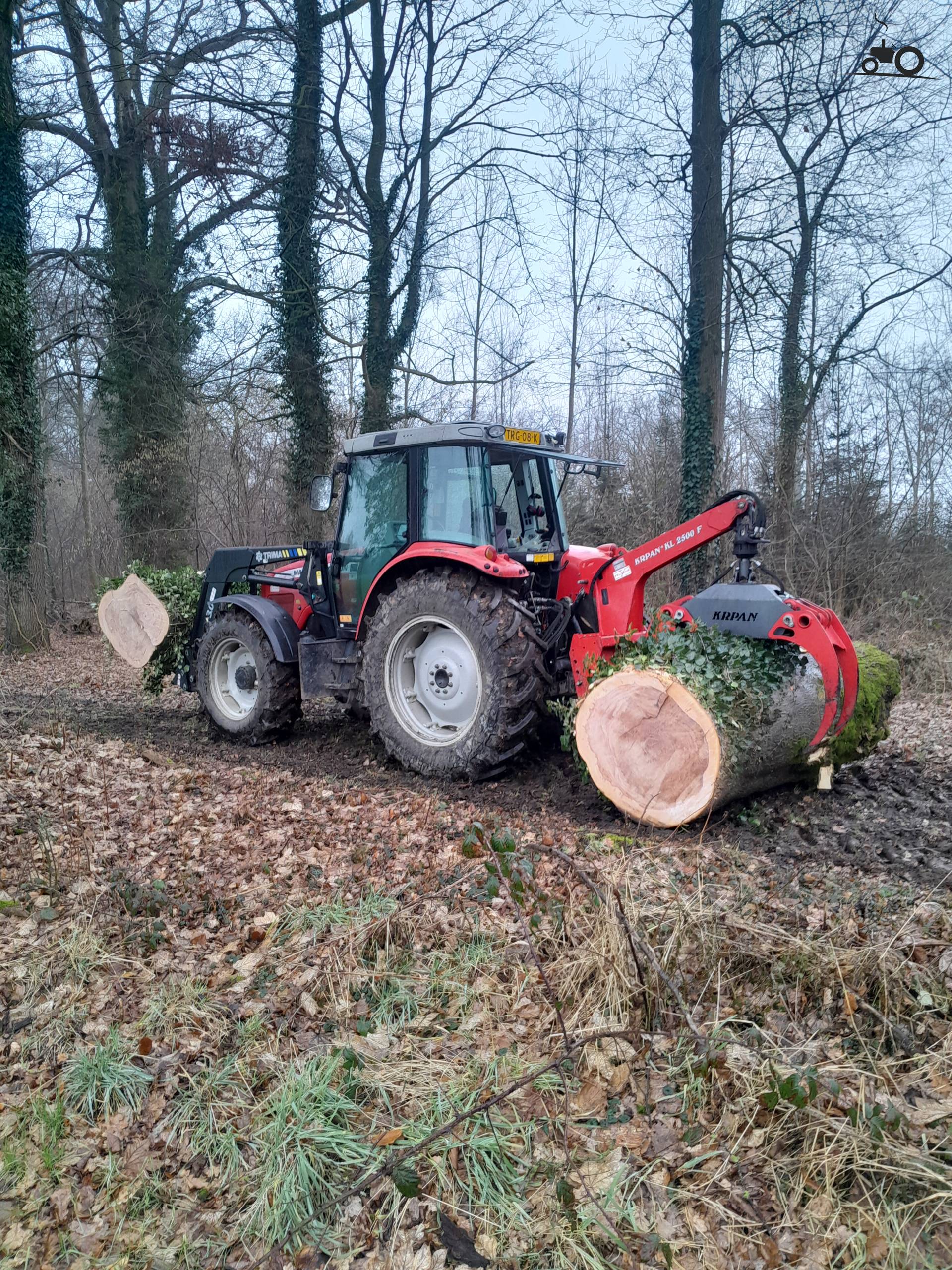 Massey Ferguson 5455 slepen van beukenhout op het veld
