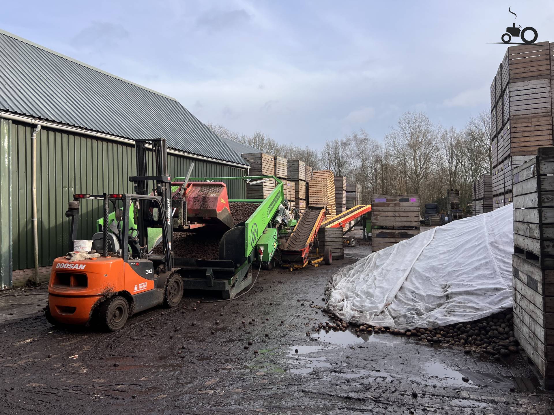 Doosan Pro5-30 in actie bij het uitschuren van aardappels