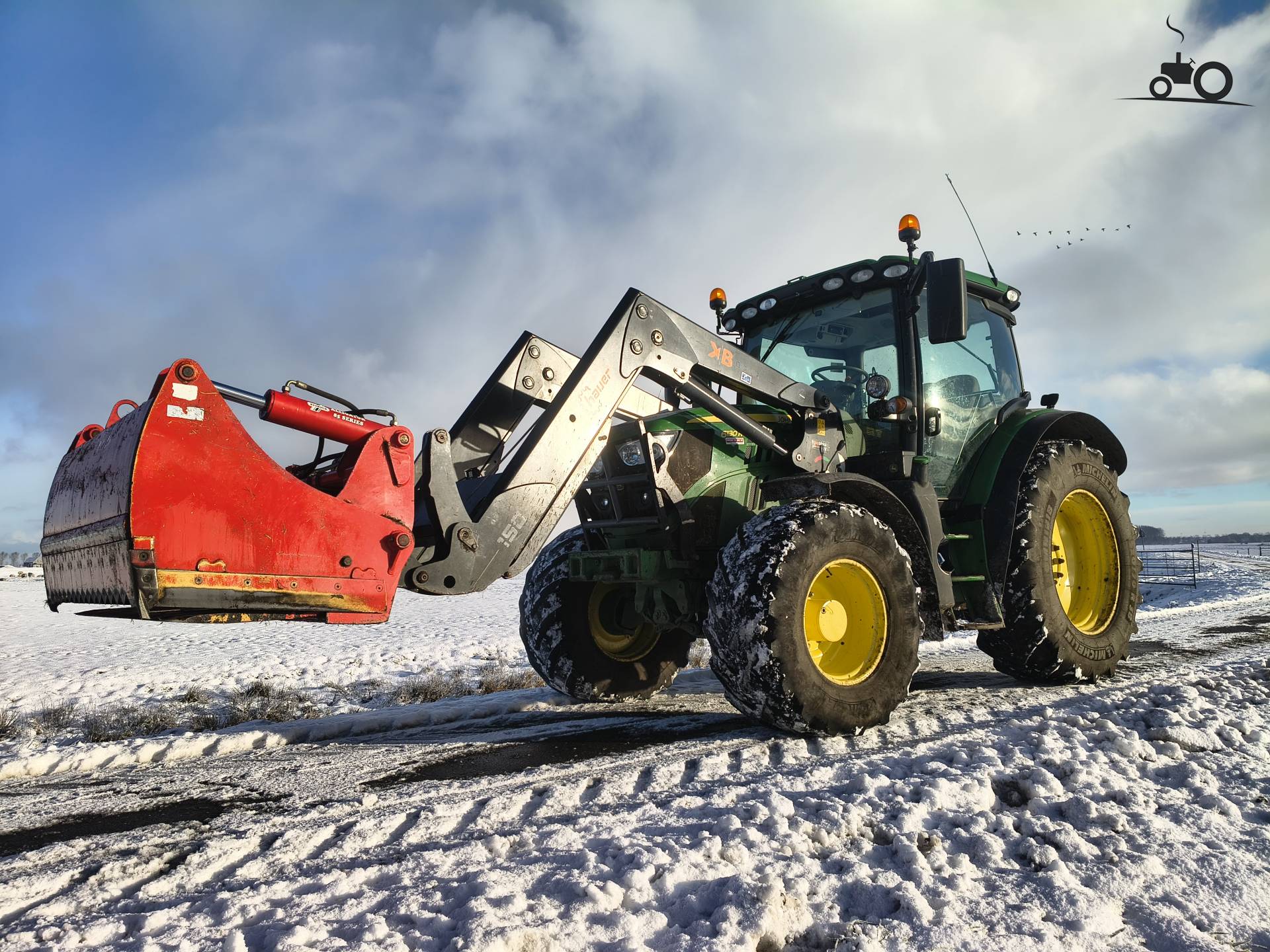John Deere 6130R voert schapen bij langs de polderdijk