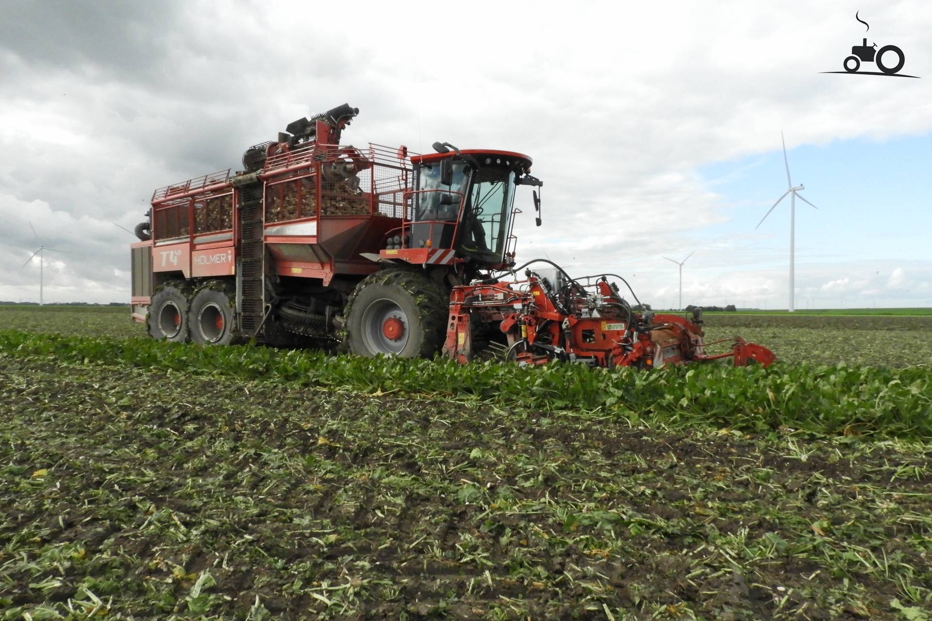 Breure De Waard rooien met Holmer Terra Dos T4-40