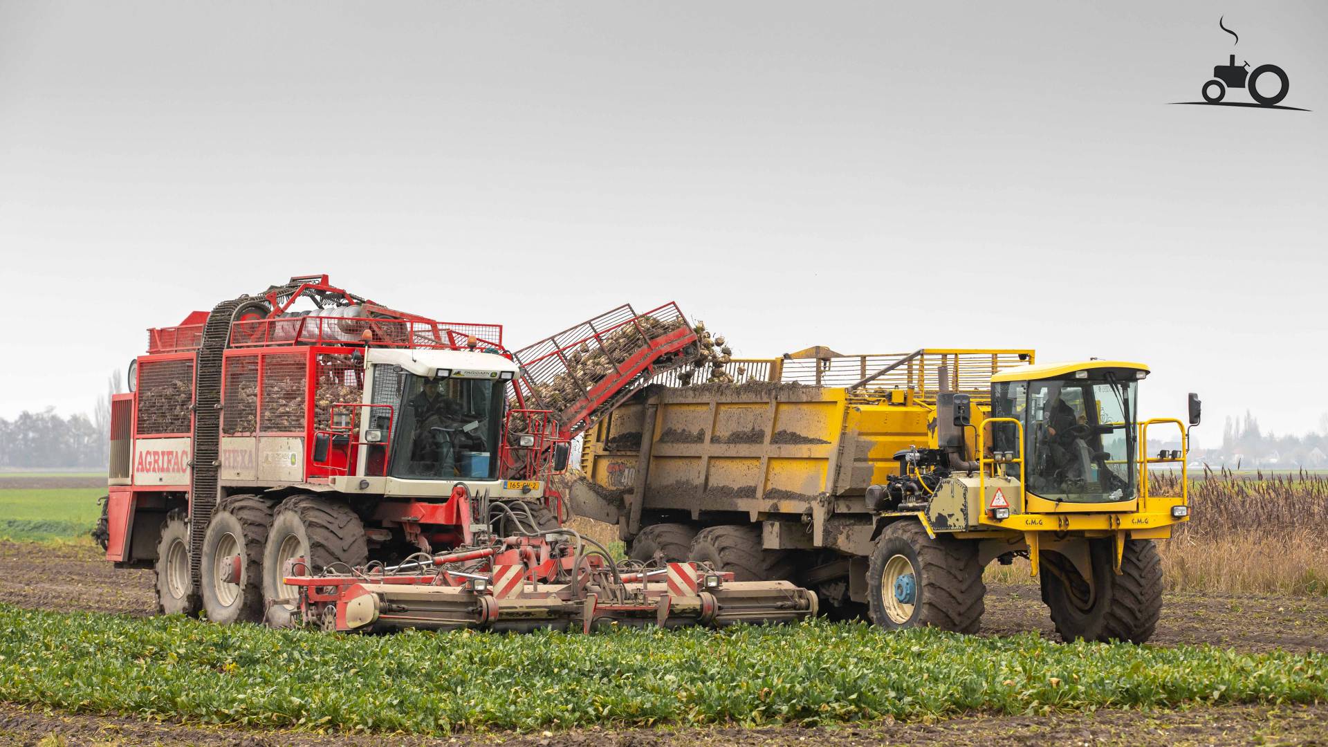 Agrifac Bietenrooier