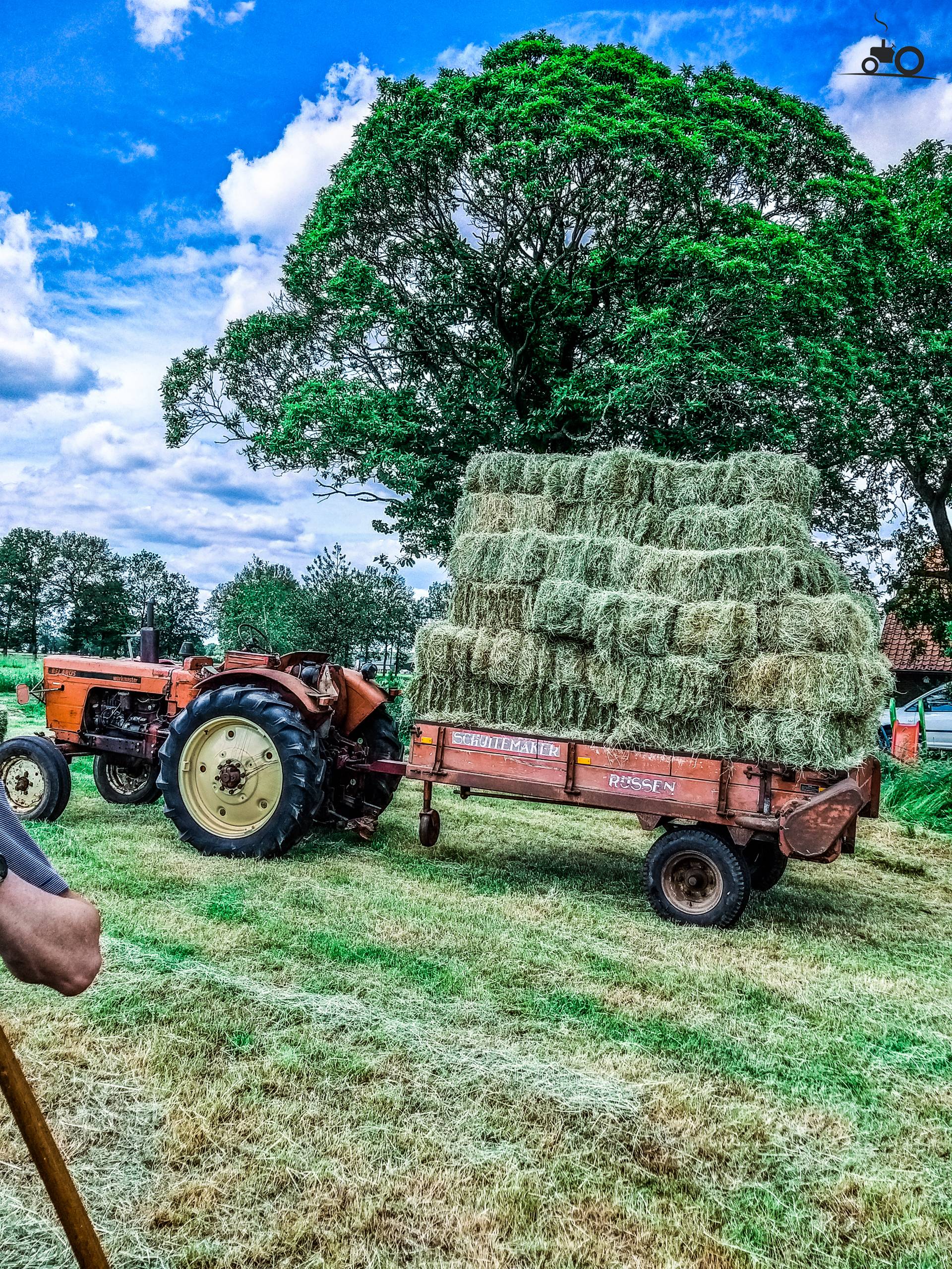 Foto Belarus MTZ-80 #1424828