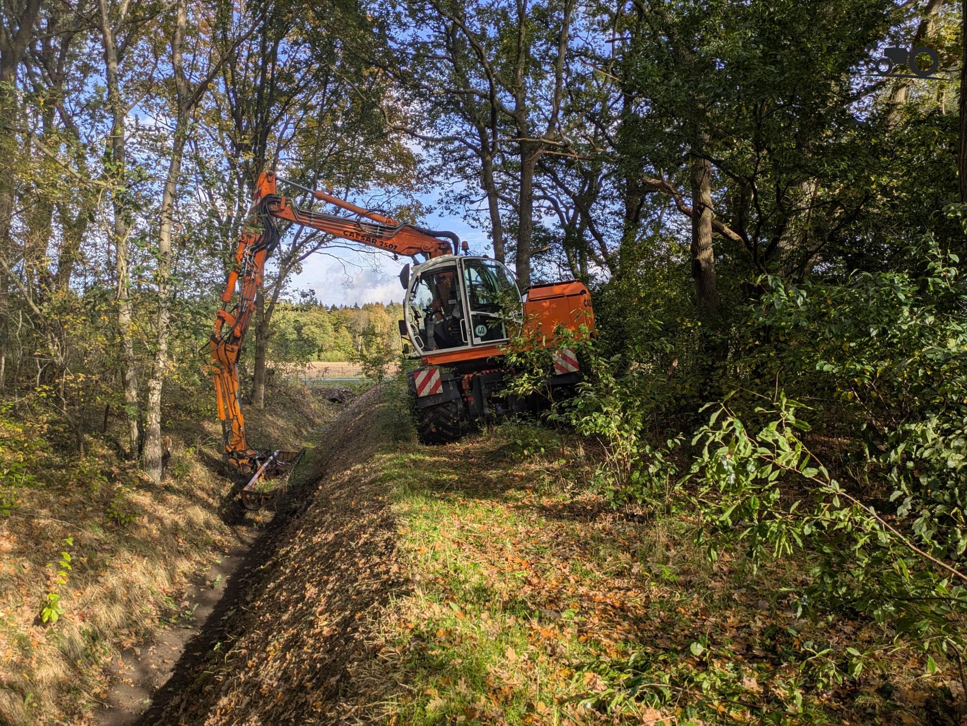 Caesar - Afbeeldingen