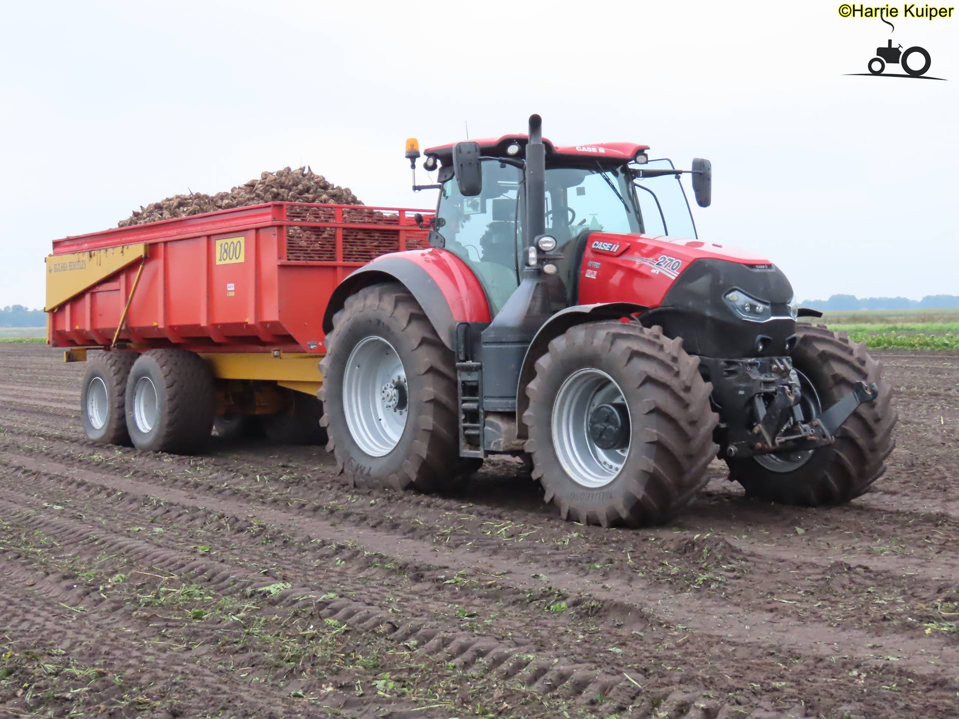 Foto Case IH Optum 270 #1376617