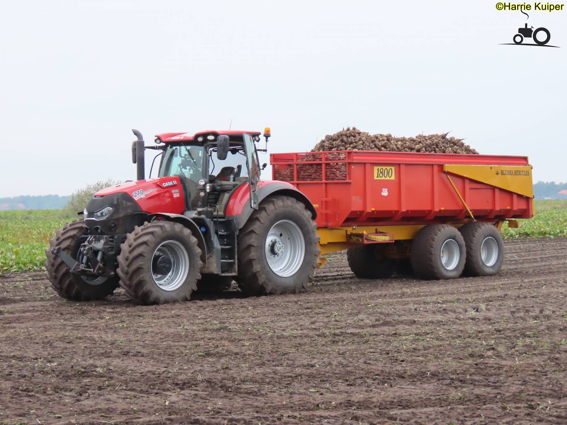 Foto Case IH Optum 270 #1376620