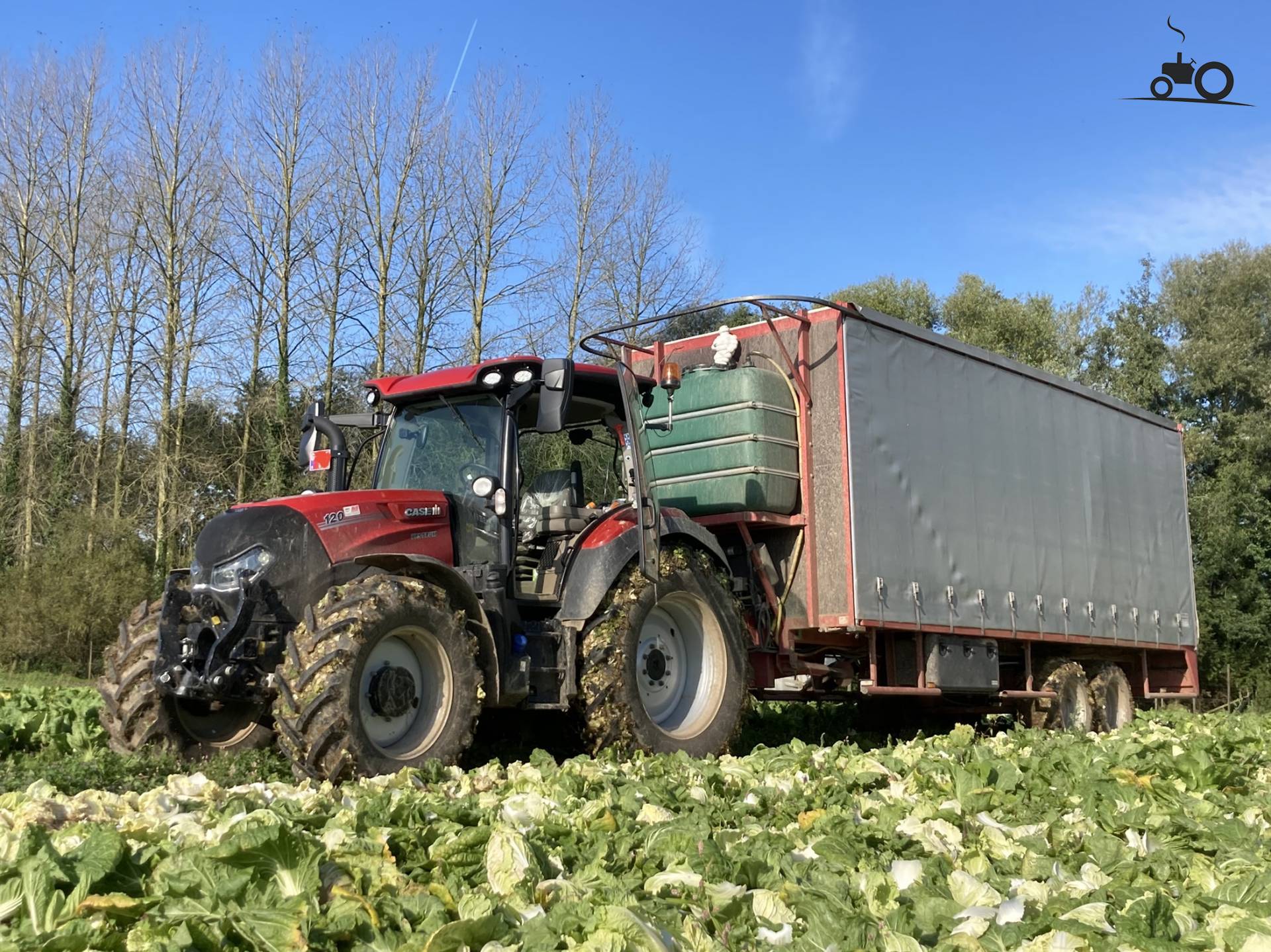 Foto Case IH Vestrum 130 #1439306