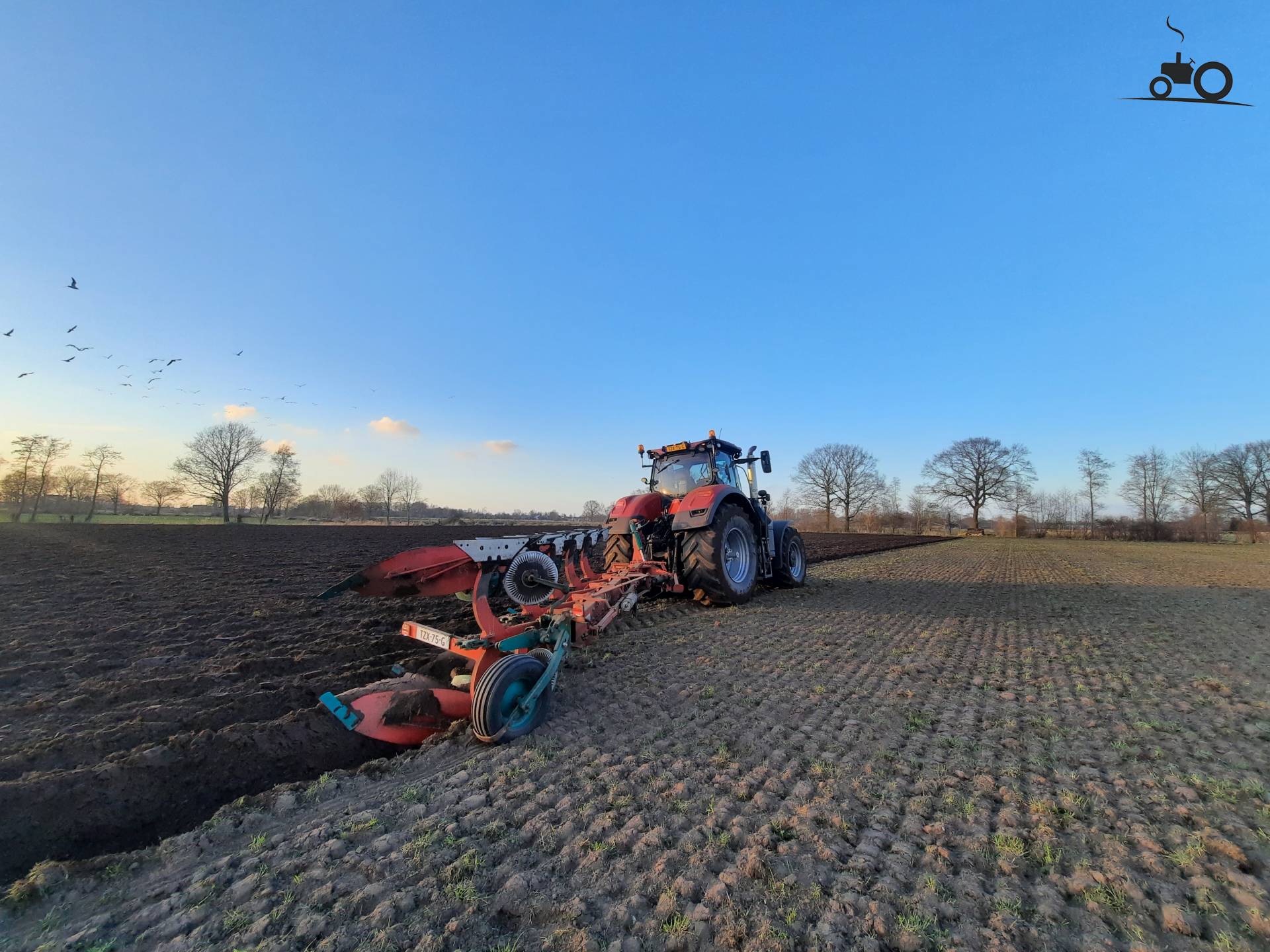 Foto Case IH Optum 250 #1461361