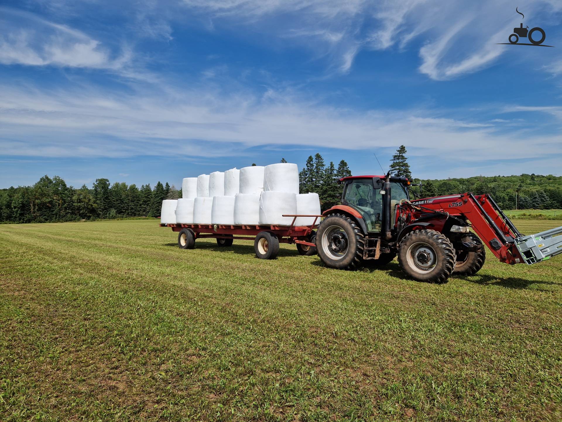 Foto Case IH Maxxum 125 #1494591