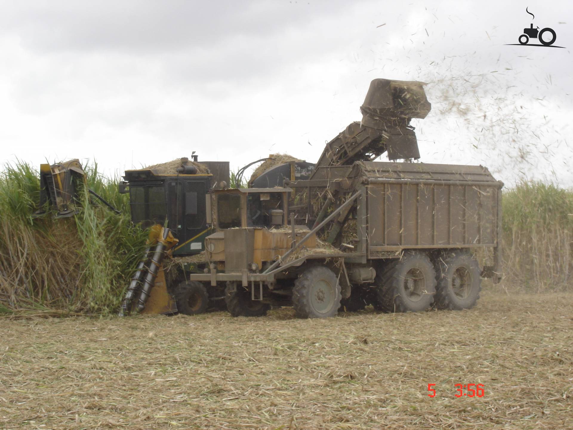 Case-IH/Austoft 7700 Suikerriet oogstmachine