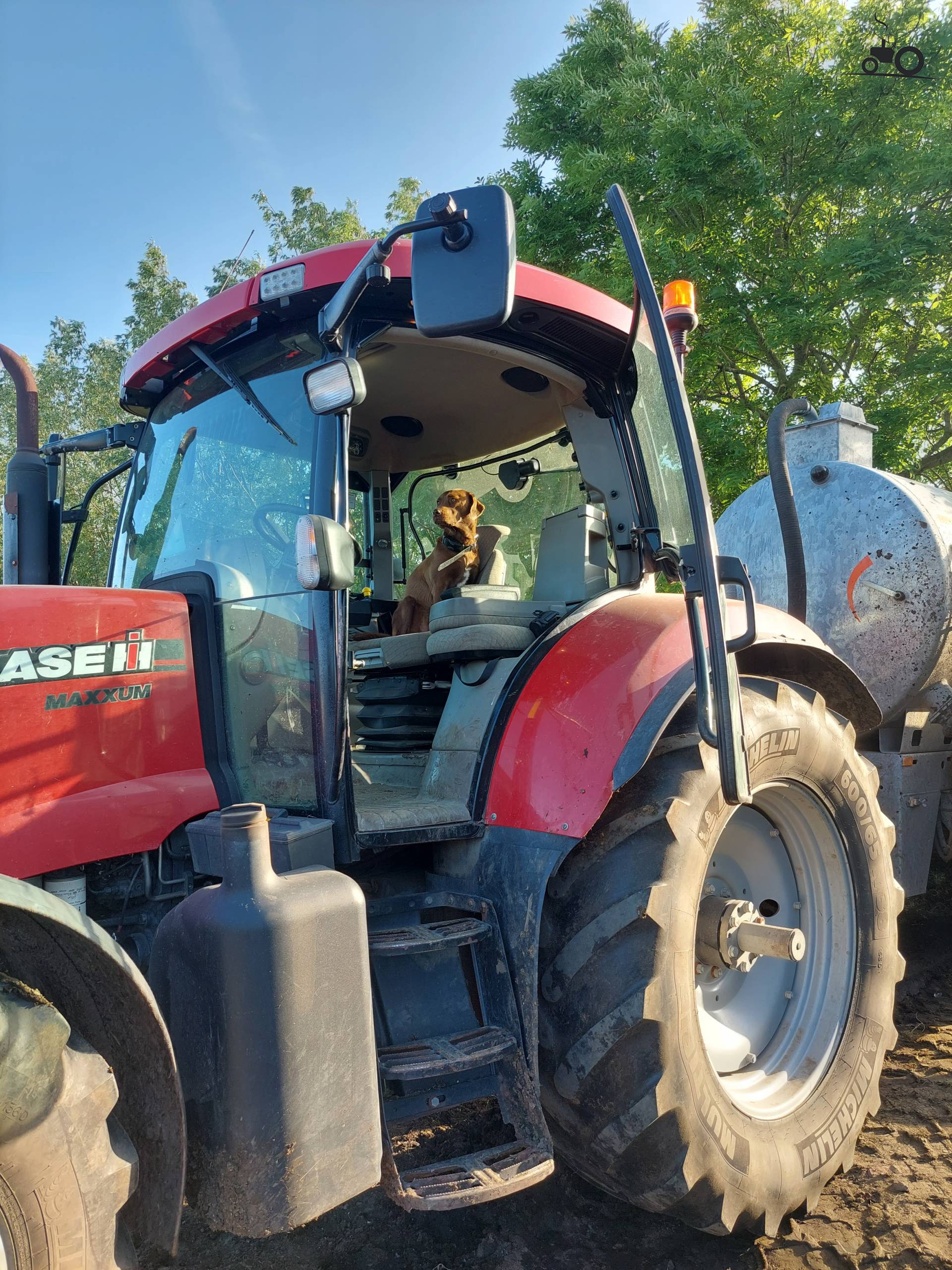 Foto Case IH Maxxum 115 #1520069