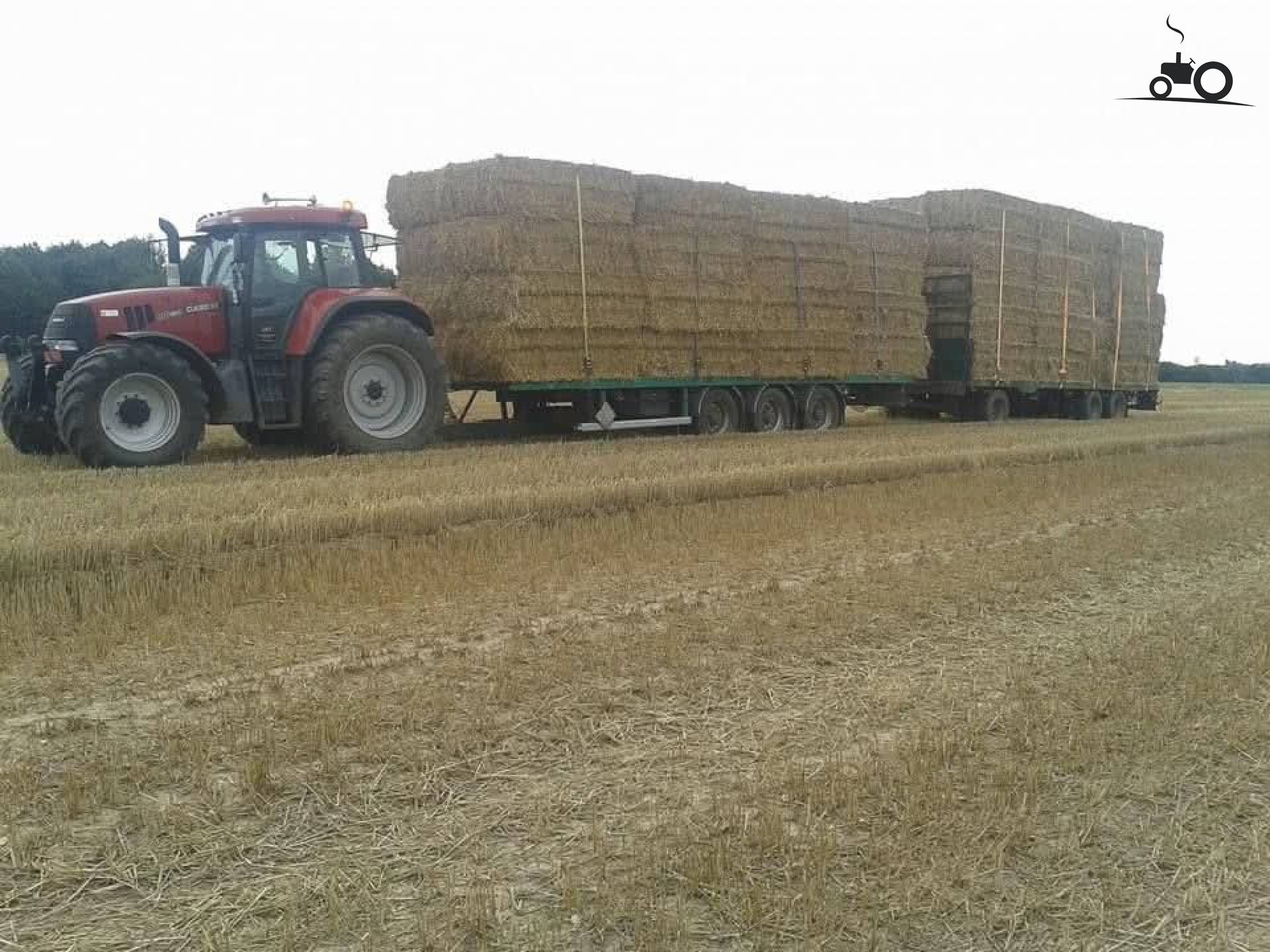 Foto Case IH CVX 195 van All2you bv