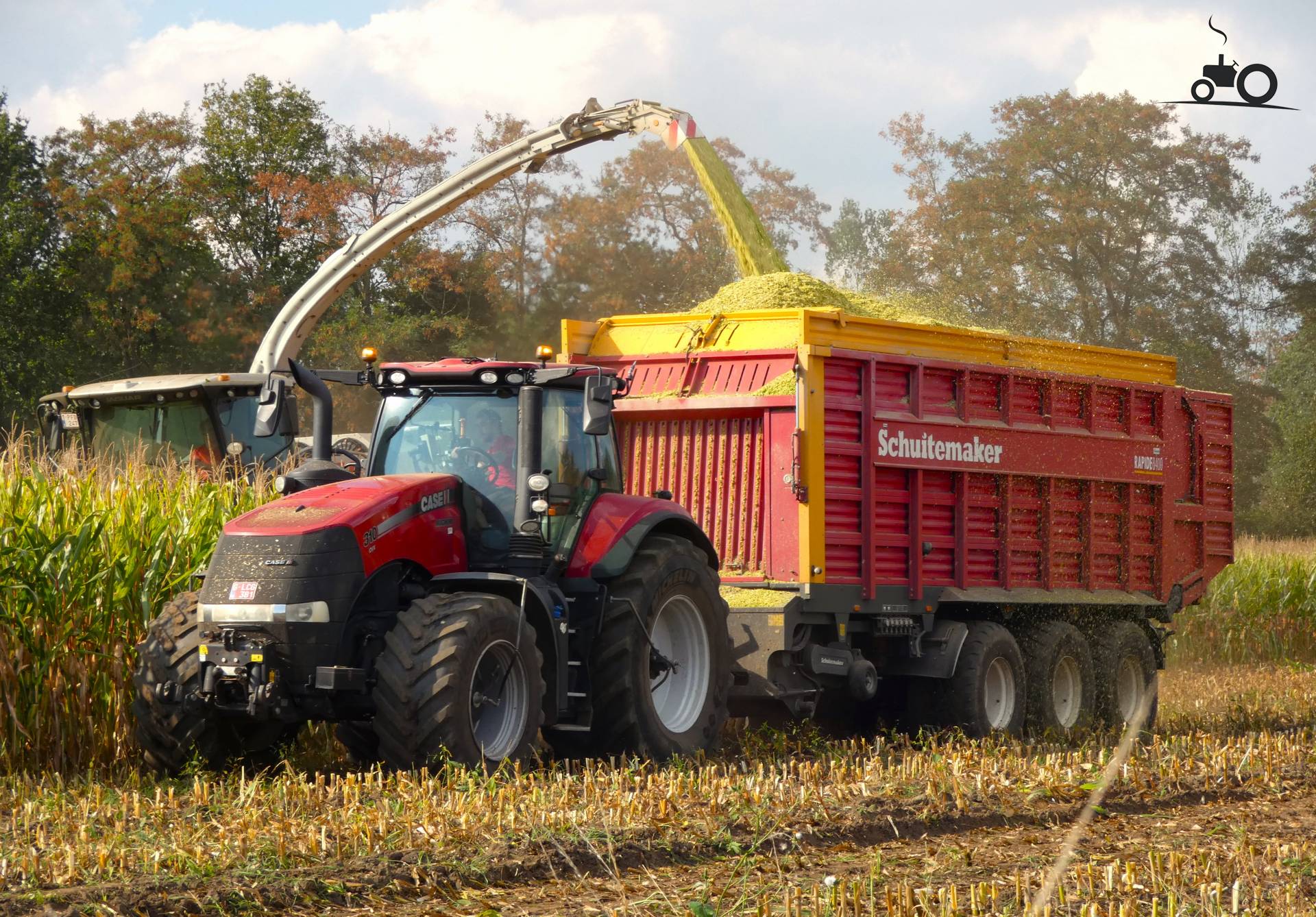 Foto Case IH Magnum 310 #1638371
