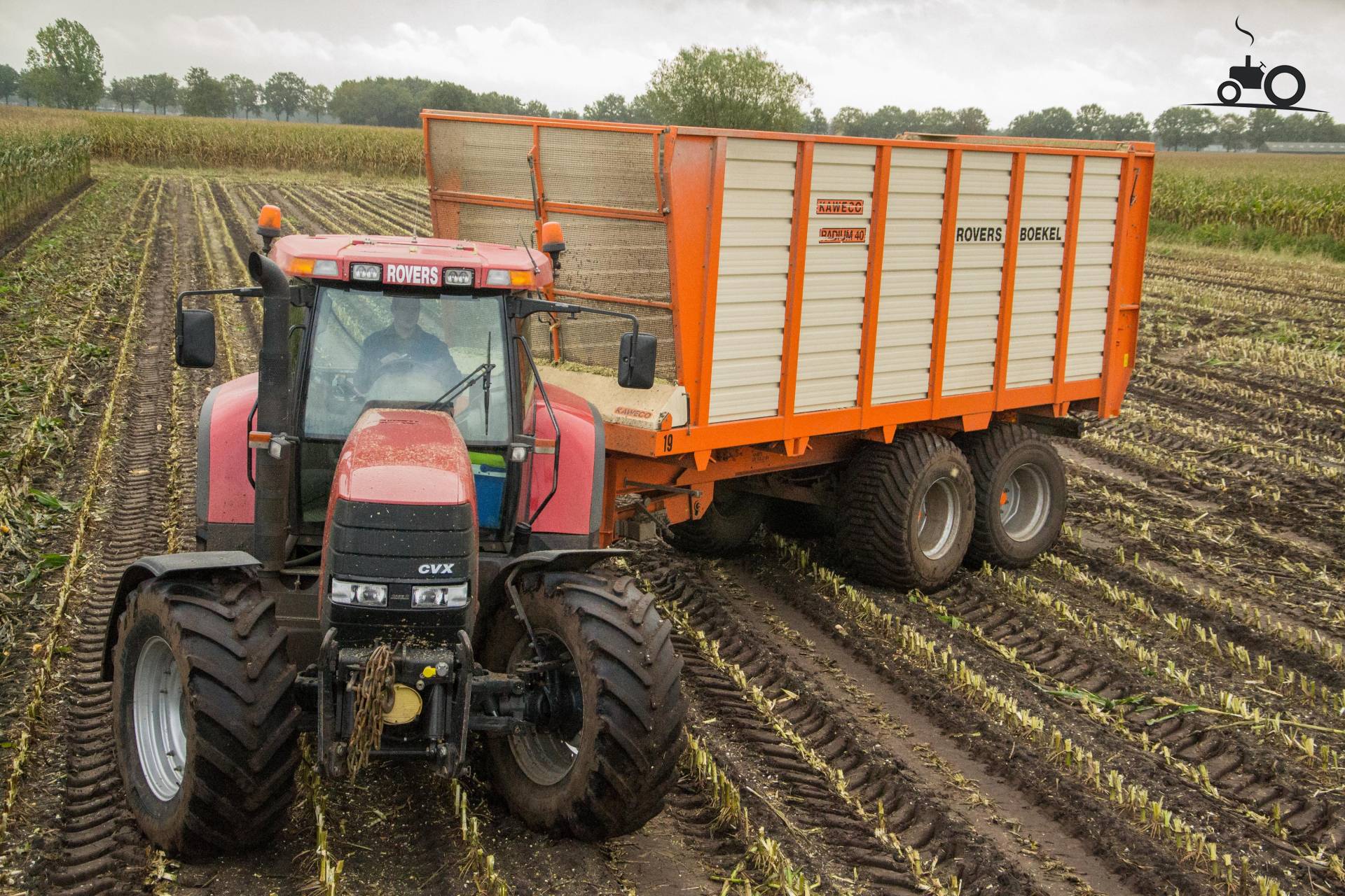Foto Case IH CVX 1135 #801271