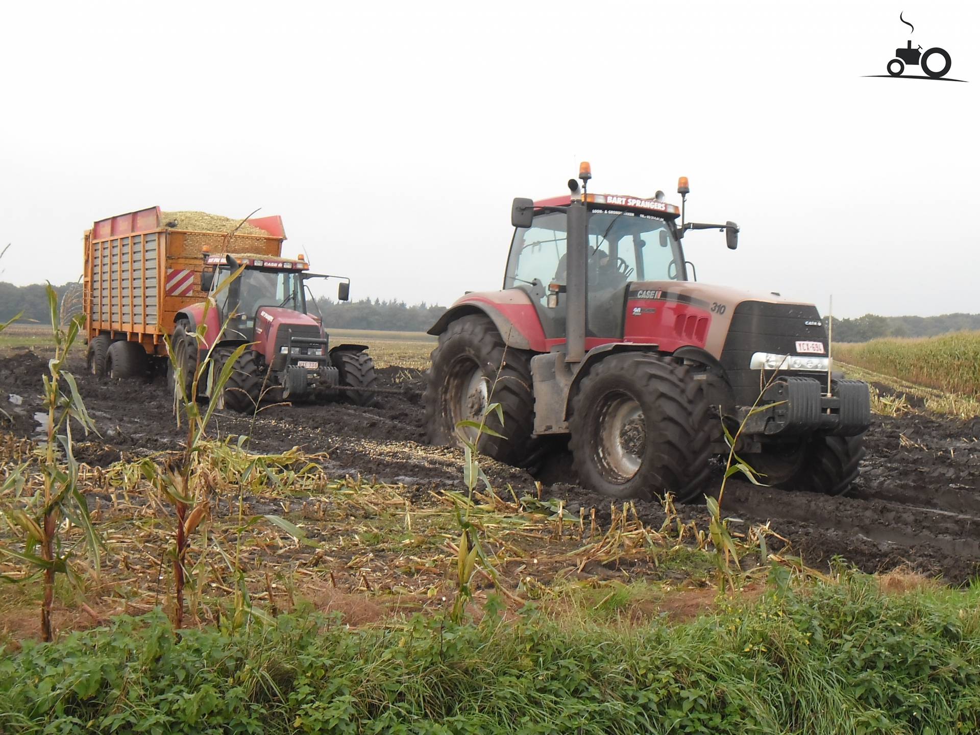 Foto Case IH Magnum 310 Gold Signature #808677