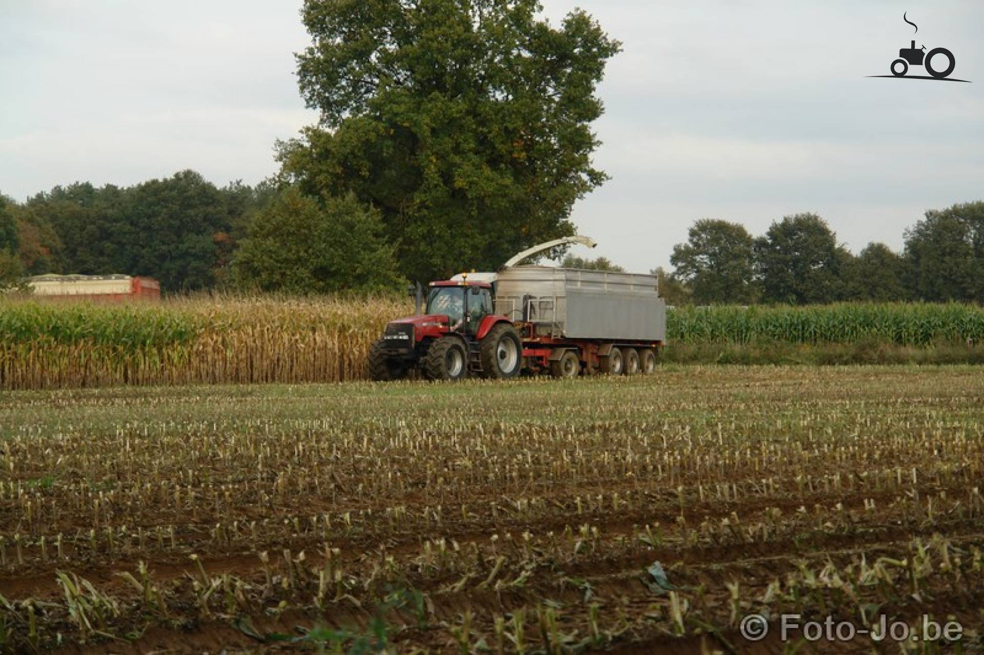 Foto Case IH MX 255 Magnum #827490