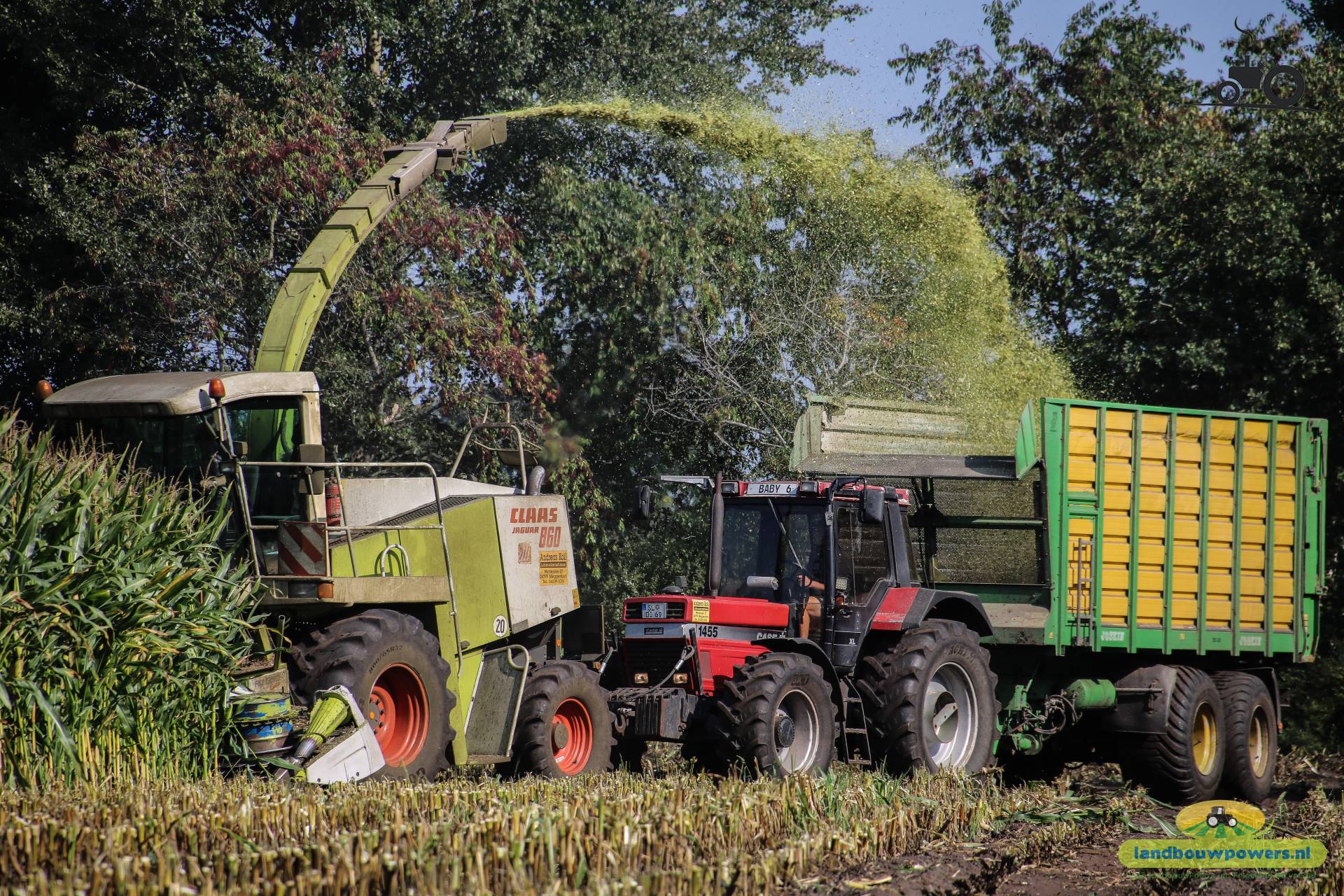 Foto Case International 1455 XL #1257061