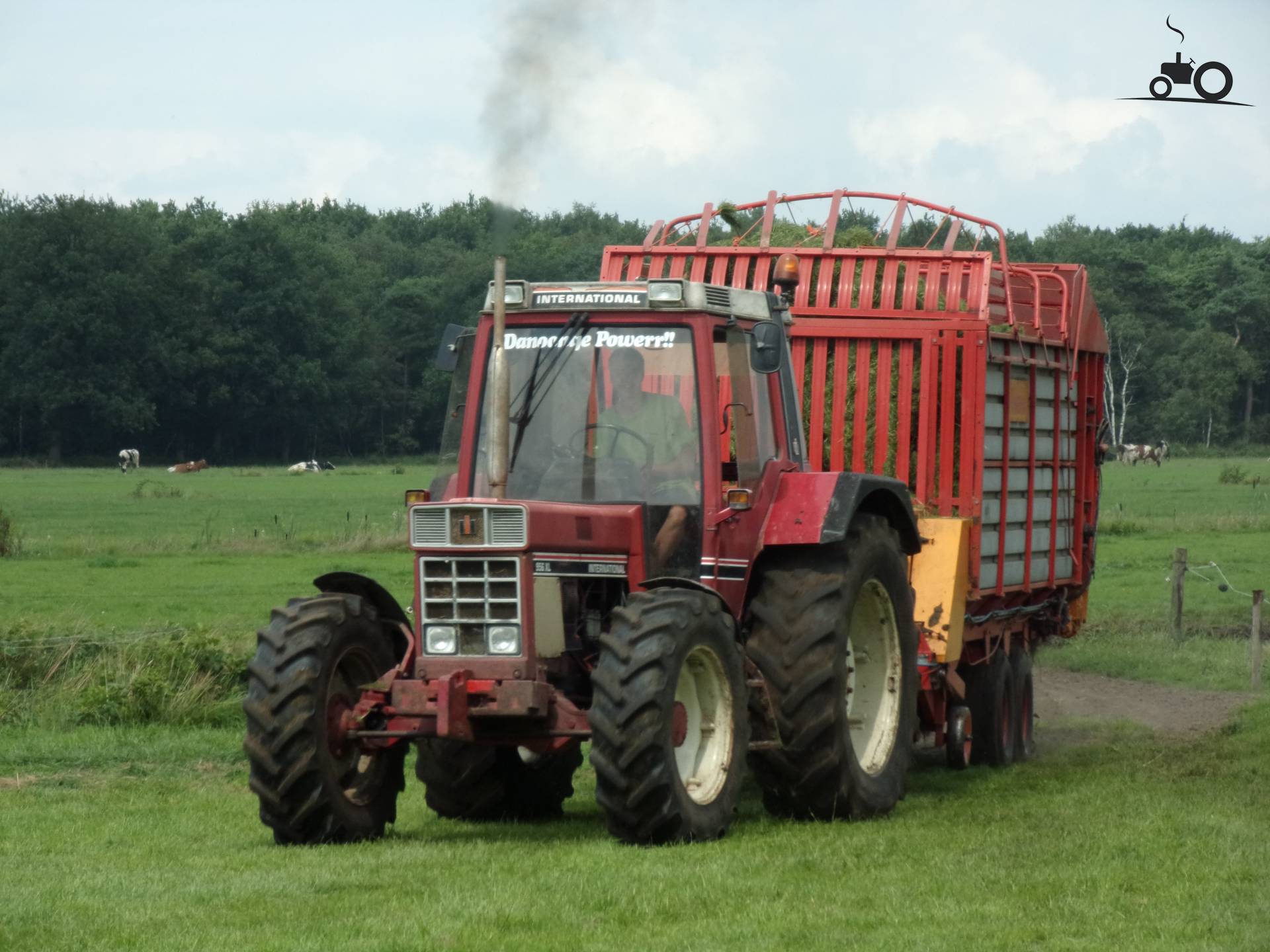 Foto International 956 XL #1382737