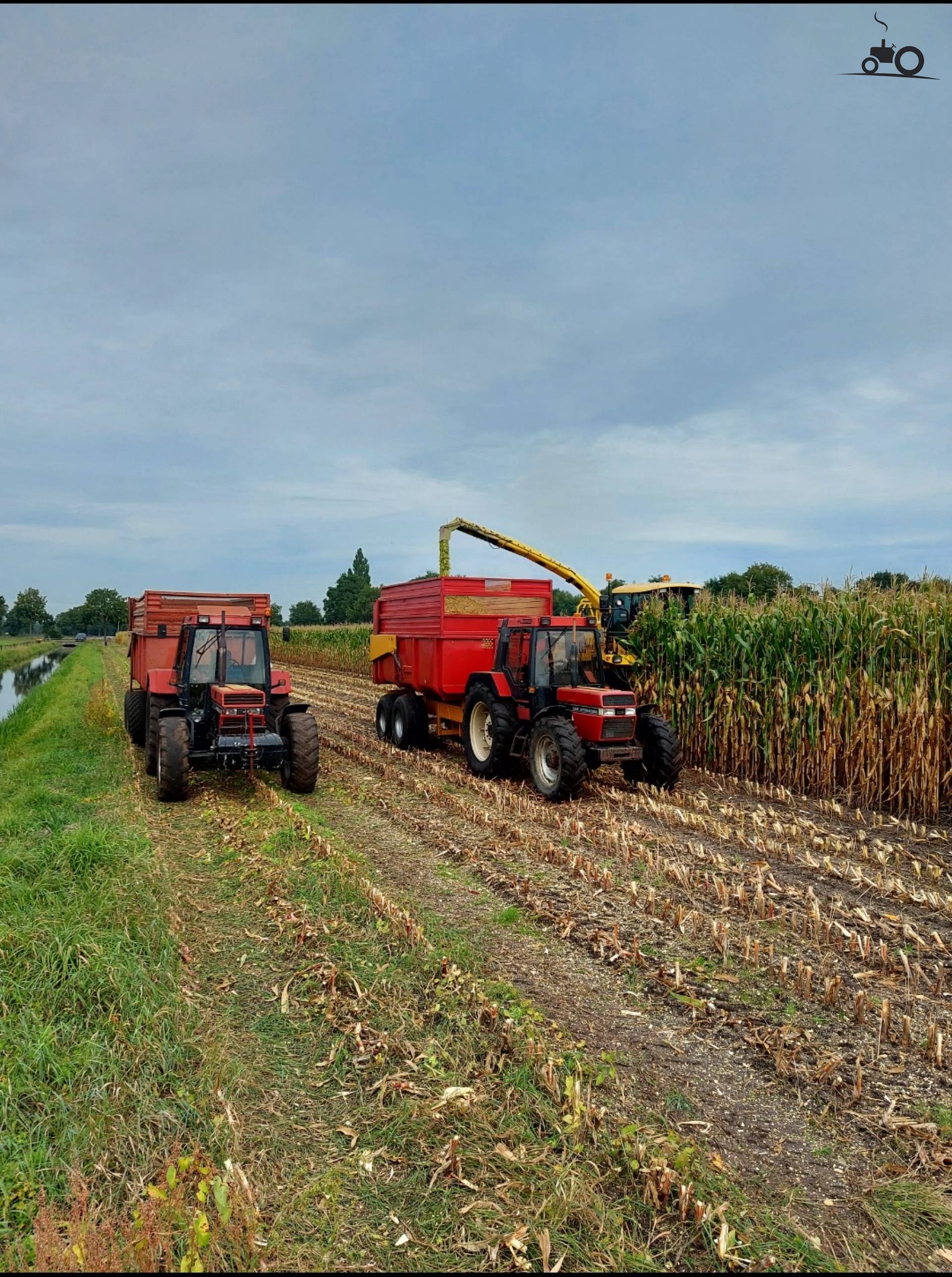 Foto Case International 1056 XL #1494064