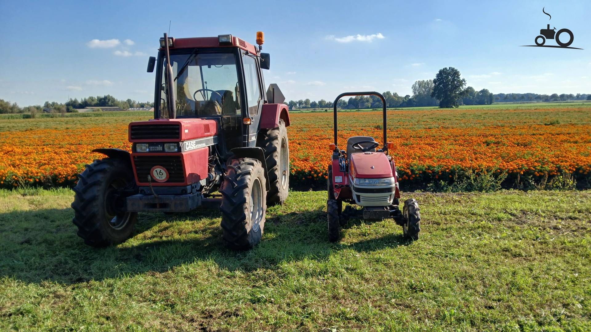 Case international 845xl en yanmar ke 14