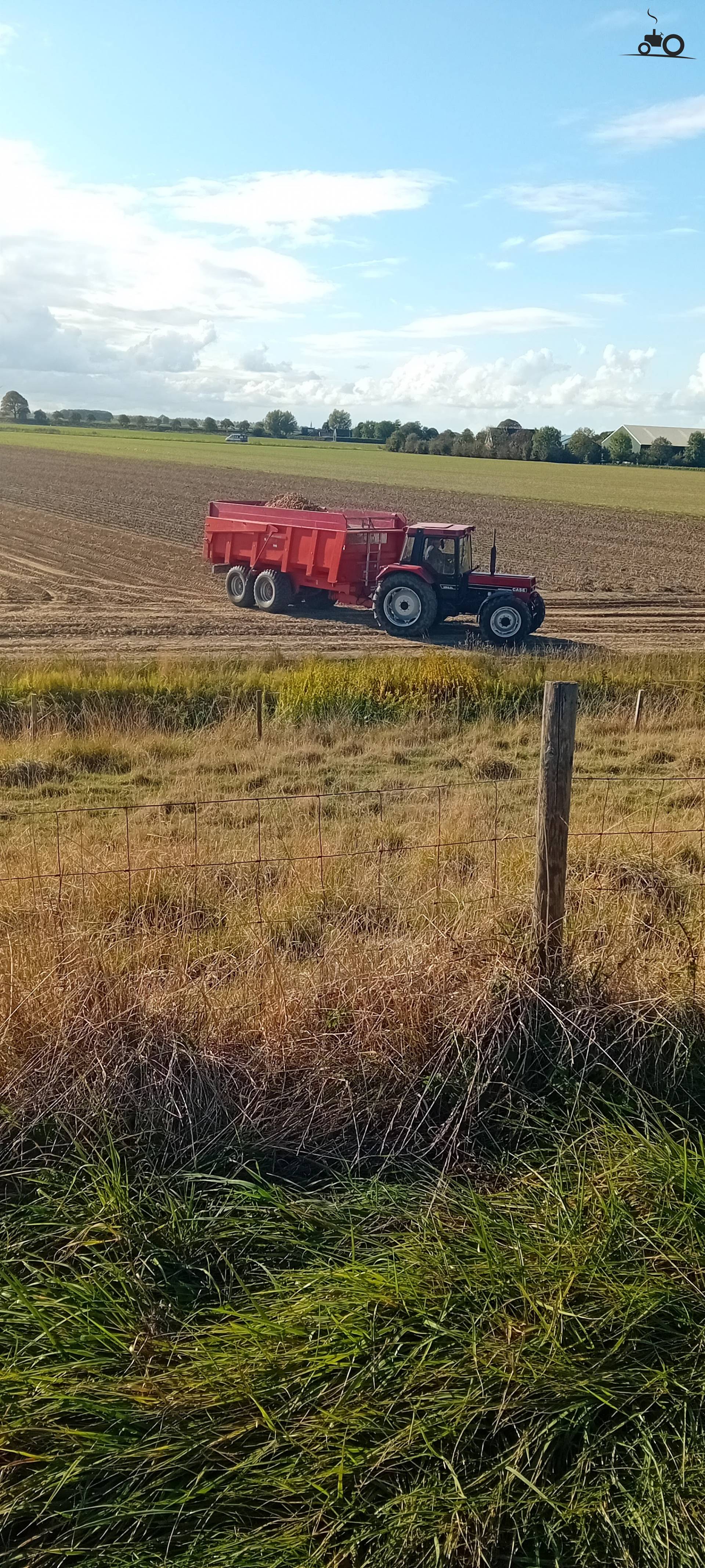 Een labje aardappels rooien