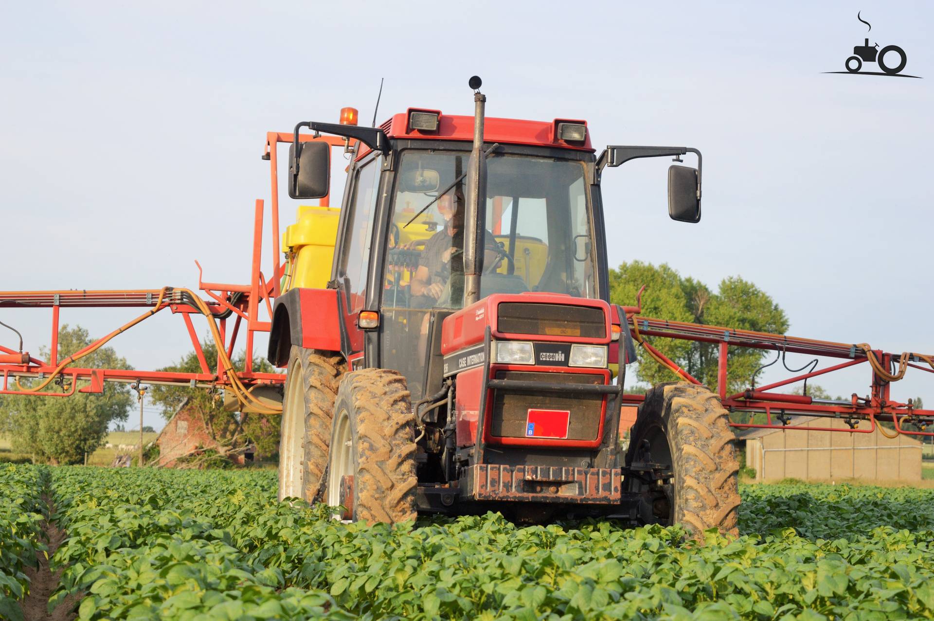 Foto Case International 856 XL Plus #921125