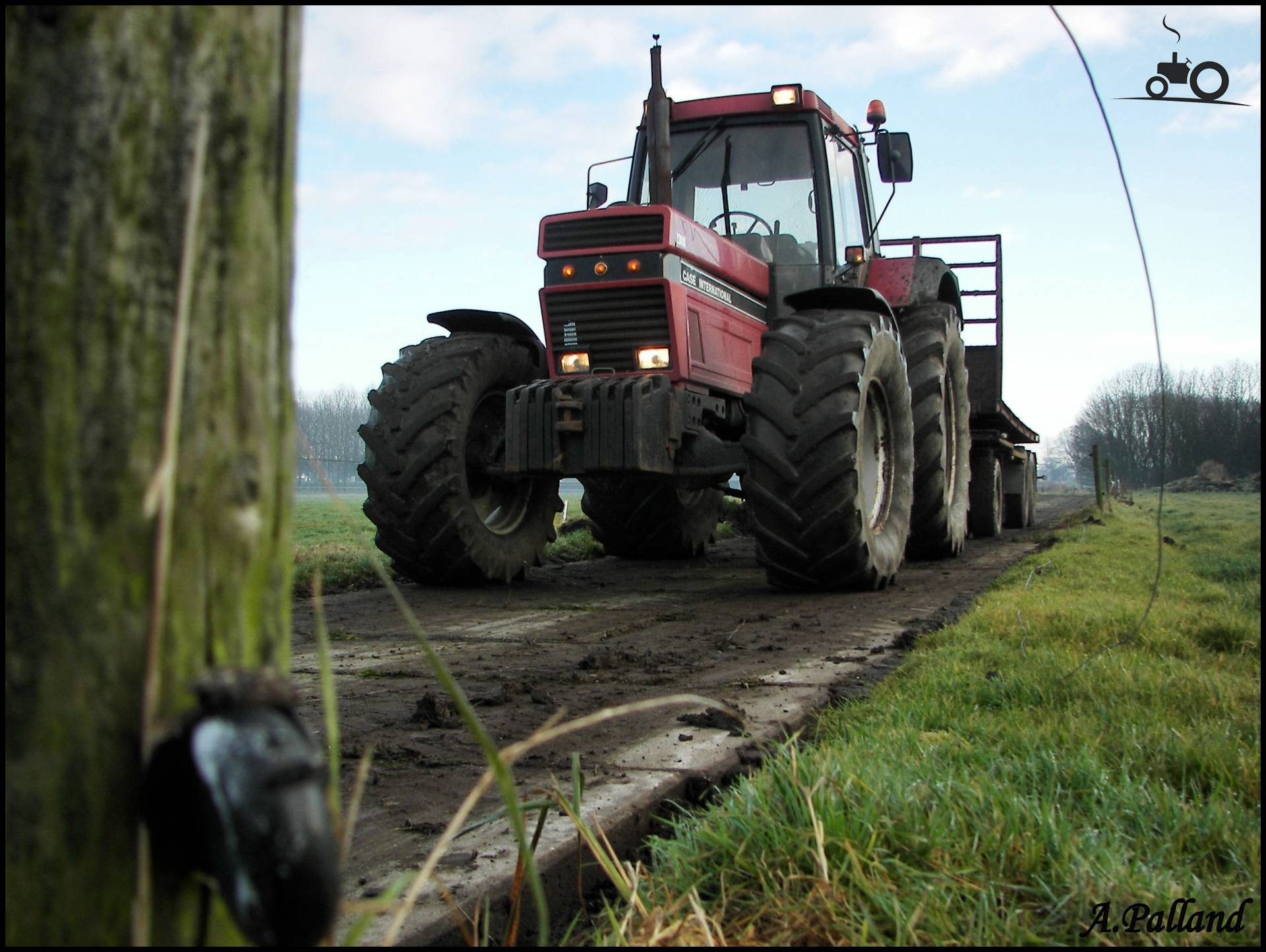 Foto Case International 1455 XL #93113