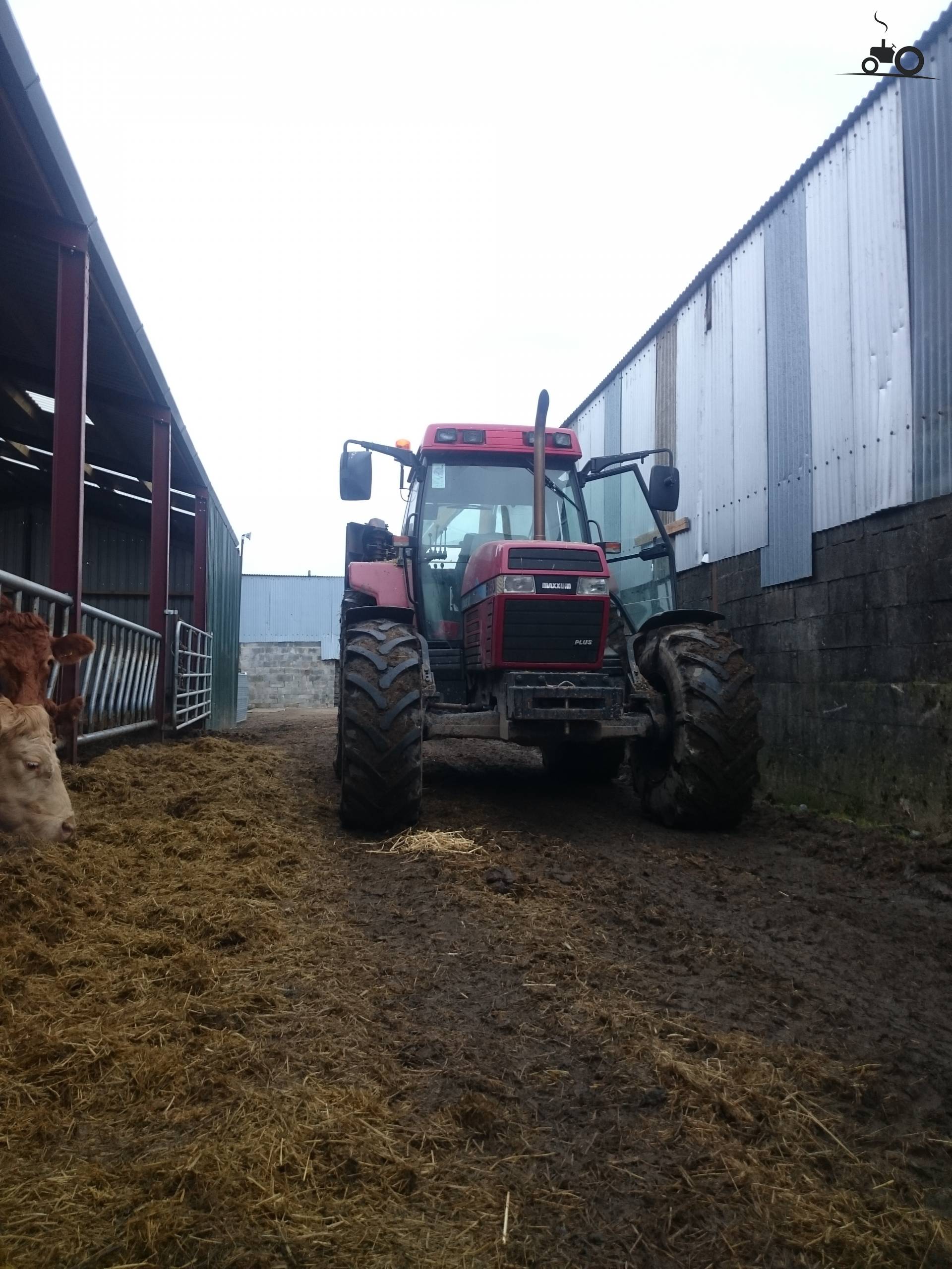 Foto Case International Maxxum 5150 Plus #1175171