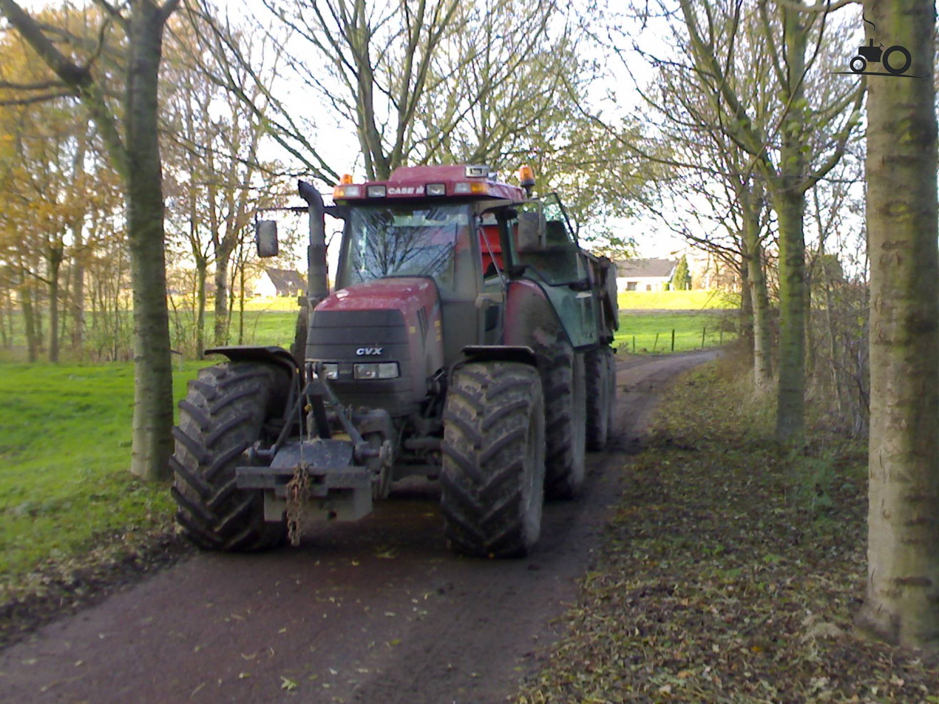 Foto Case IH CVX 1155 #31394