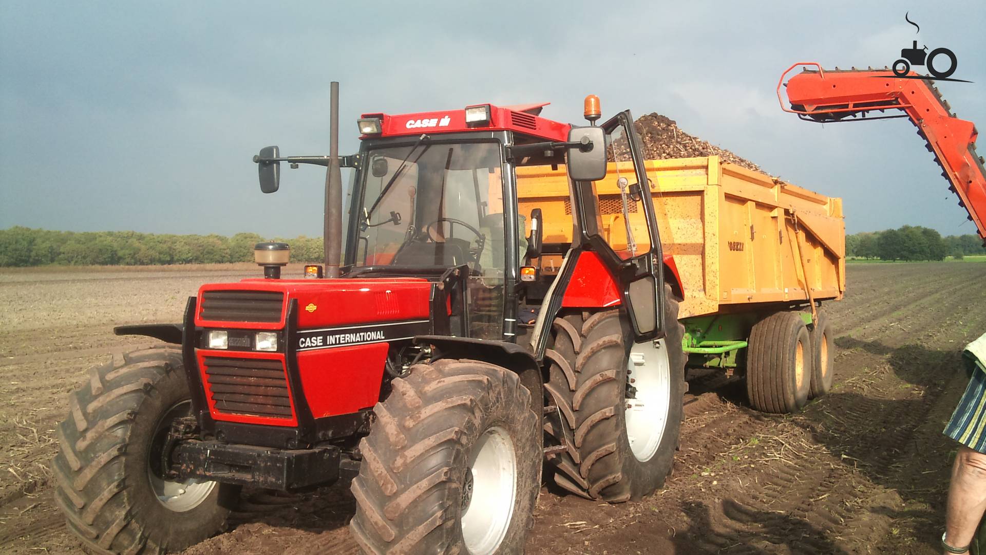 Foto Case International 956 XL #412230