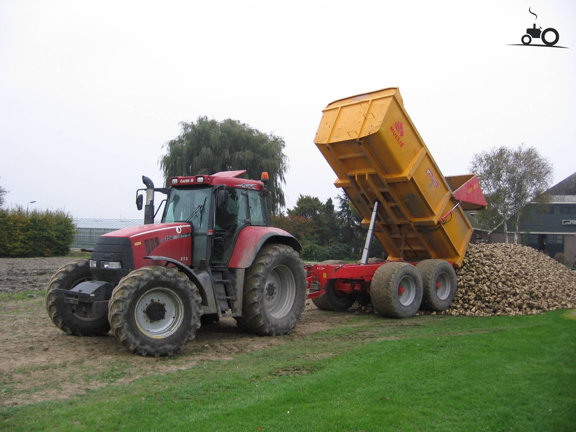 Foto Case IH CVX 150 van Fa. W.N. Dijkshoorn