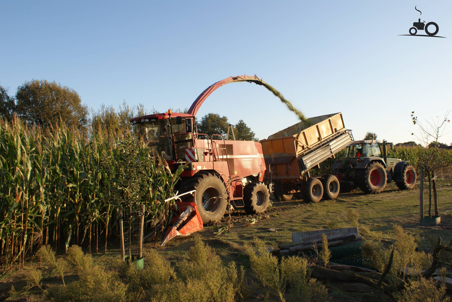 Foto Case IH Mammoth 8790 #825384