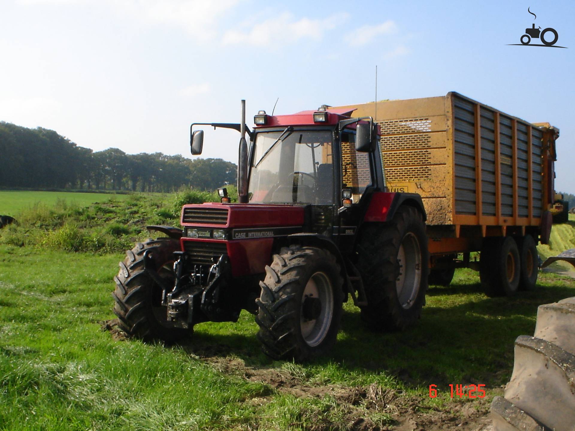 Foto Case International 956 XL #82600